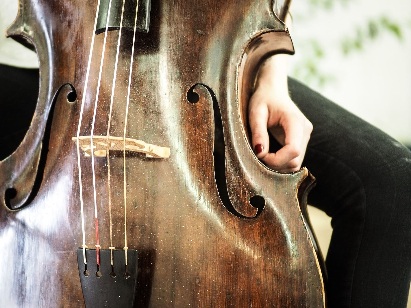 Chamber Music Festival - All Artists by Speciality - West Cork Music